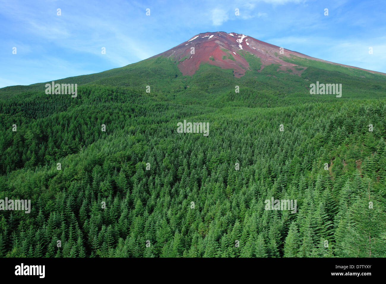 Mount Fuji Summer High Resolution Stock Photography and Images - Alamy