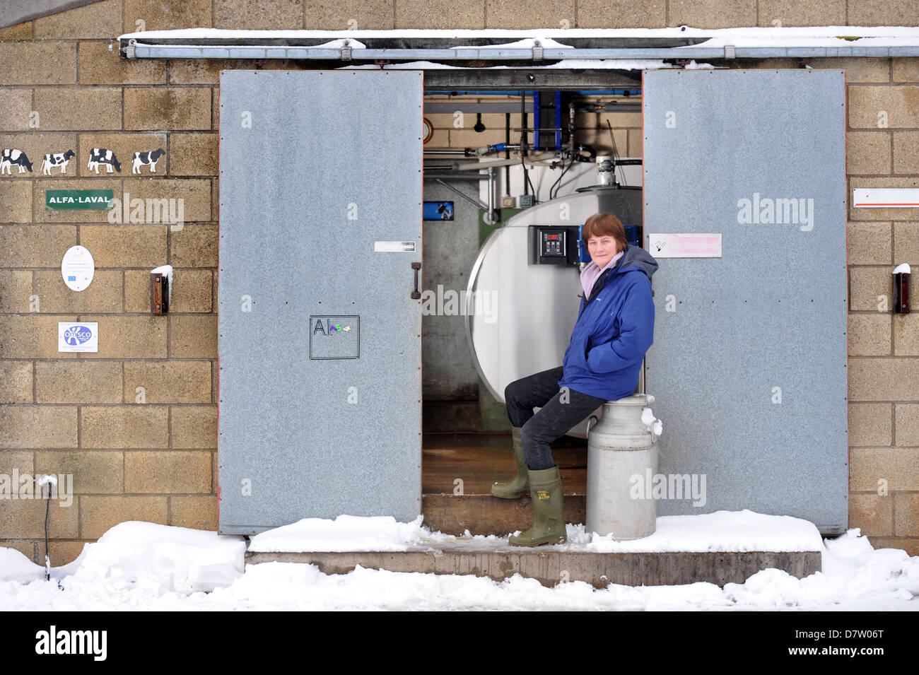Dairy Farmer Liz Best from Poole Farm Leighterton near Tetbury ...