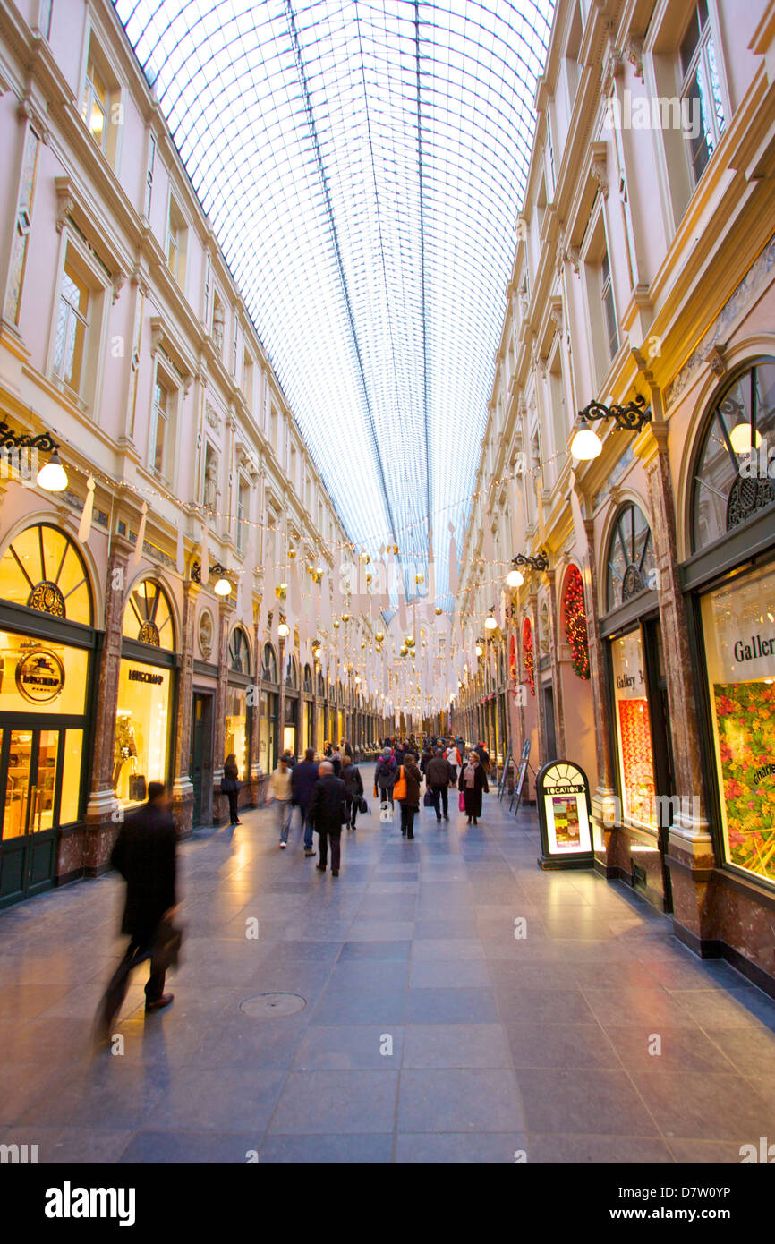 St hubert hi-res stock photography and images - Alamy