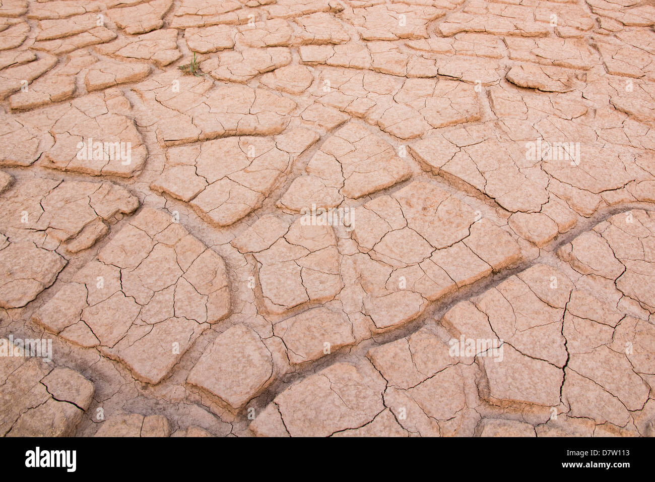 Dry cracked ground full frame Stock Photo - Alamy