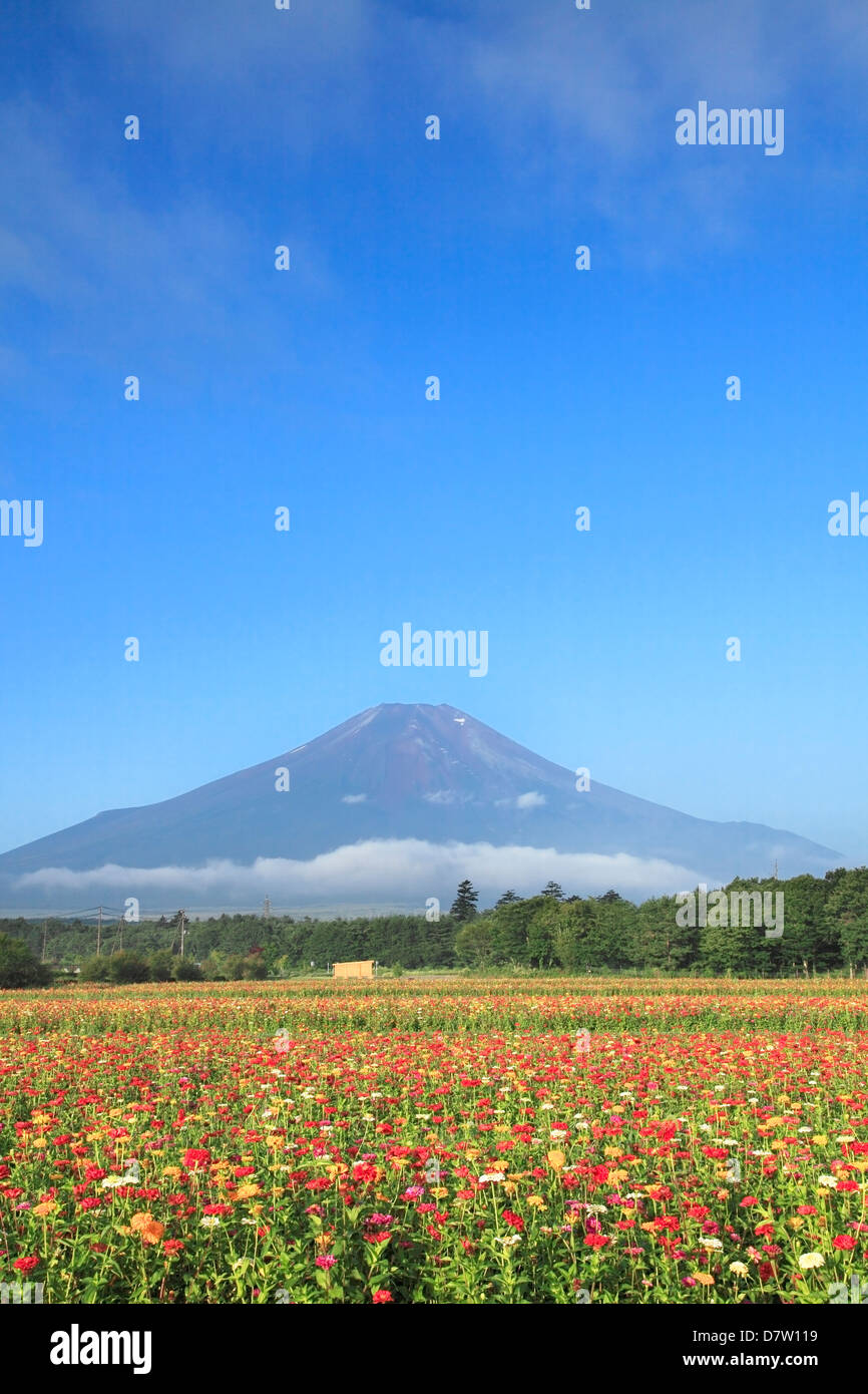 Yamanashi prefectural border hi-res stock photography and images - Alamy