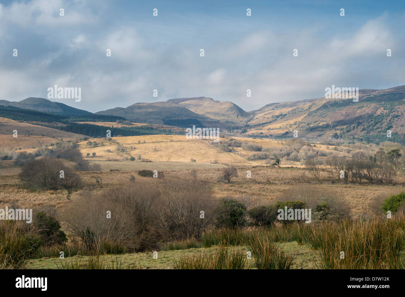 View southwards over the hummocky drumlin topography of Glencar valley ...