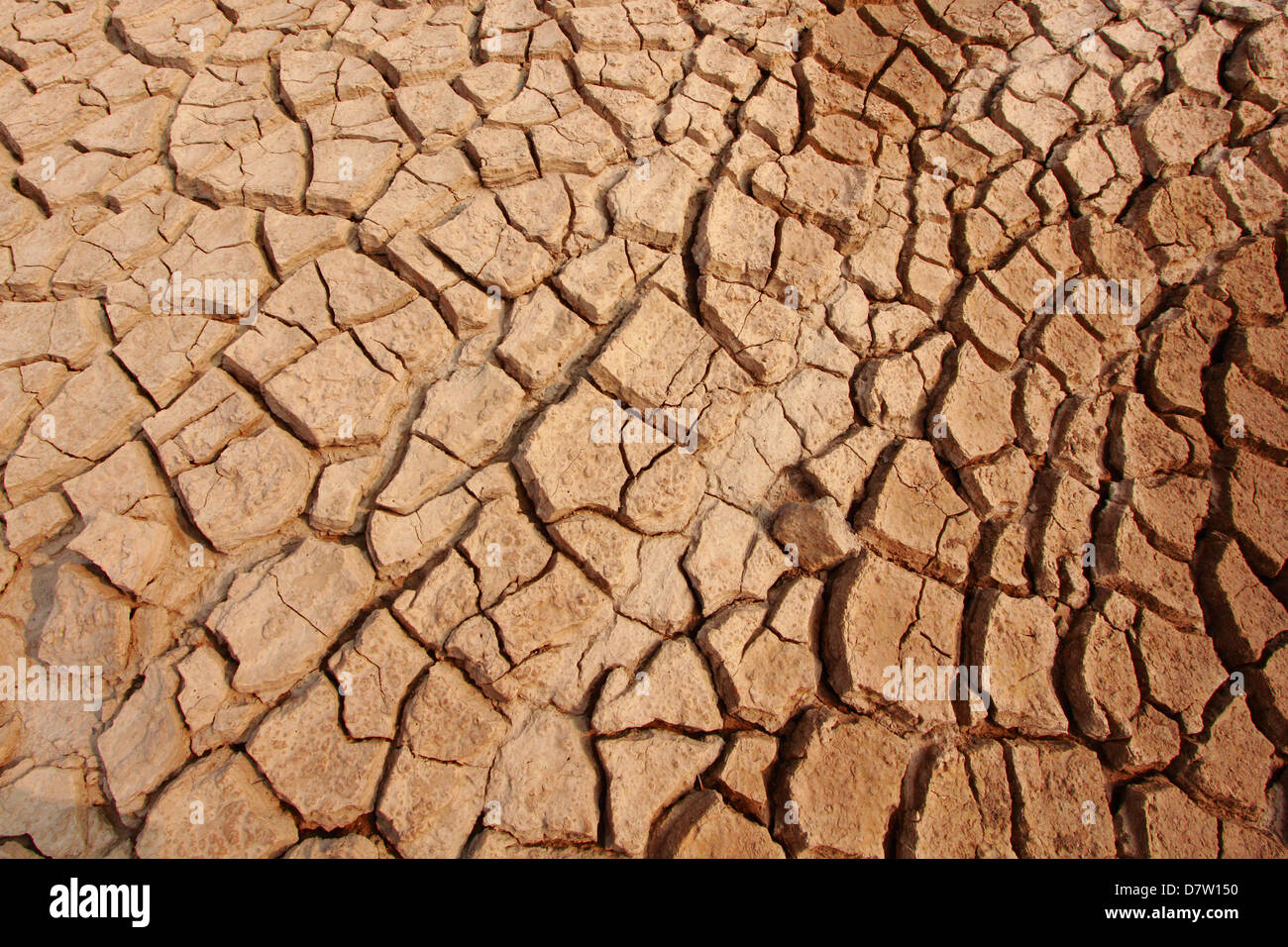 Dry cracked ground full frame Stock Photo - Alamy
