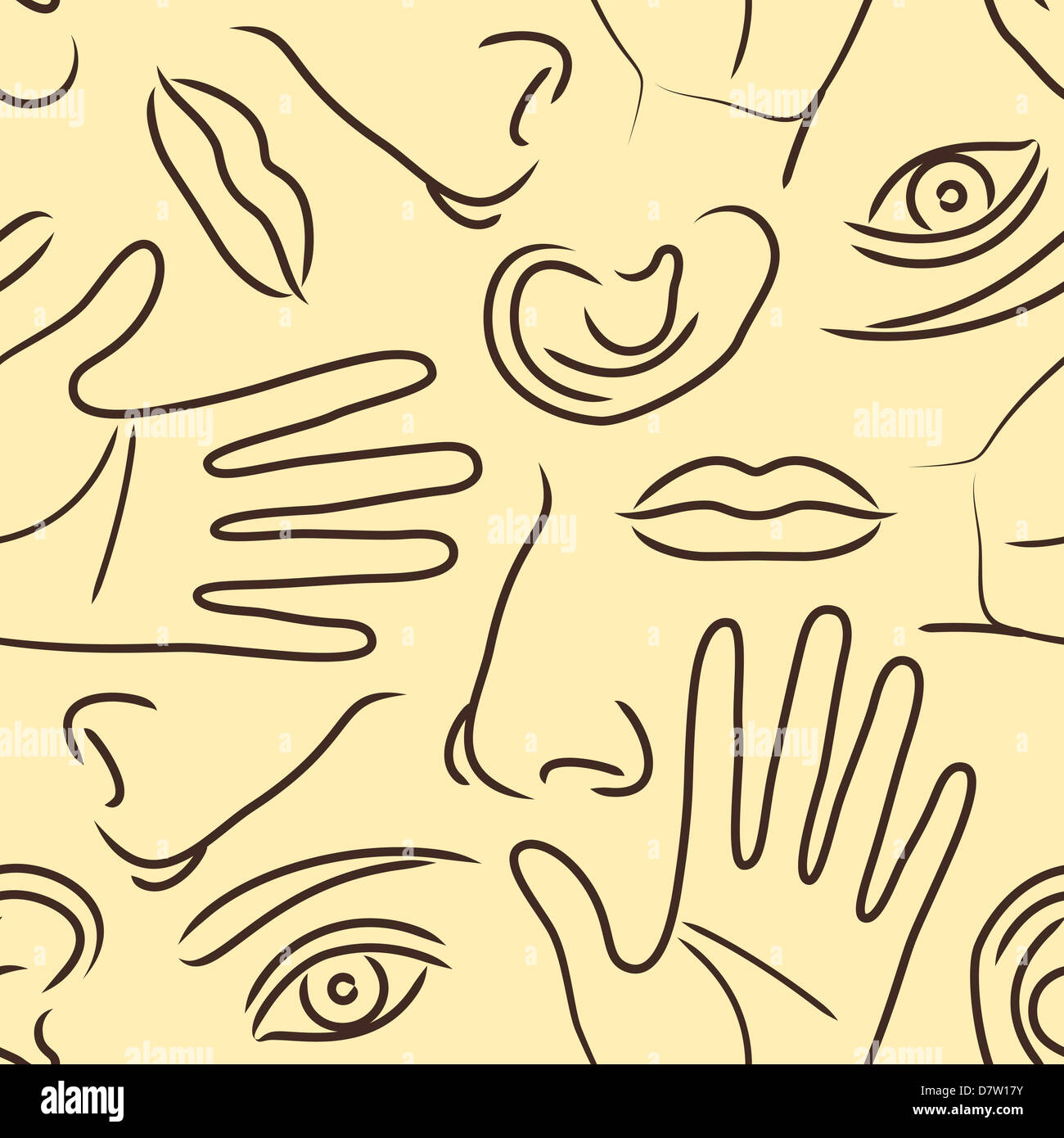 Human body parts organs hi-res stock photography and images - Alamy