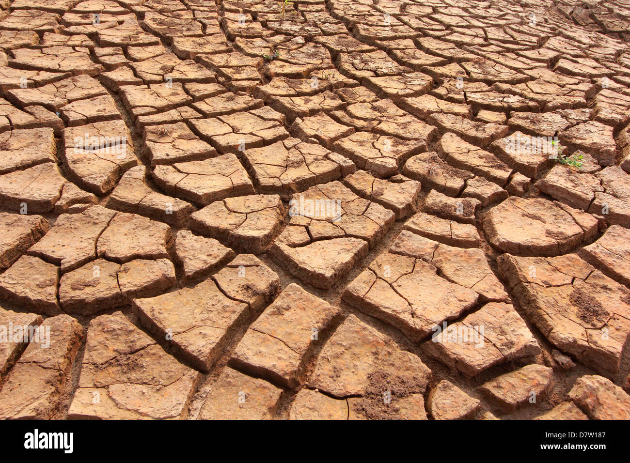 Dry cracked ground full frame Stock Photo - Alamy