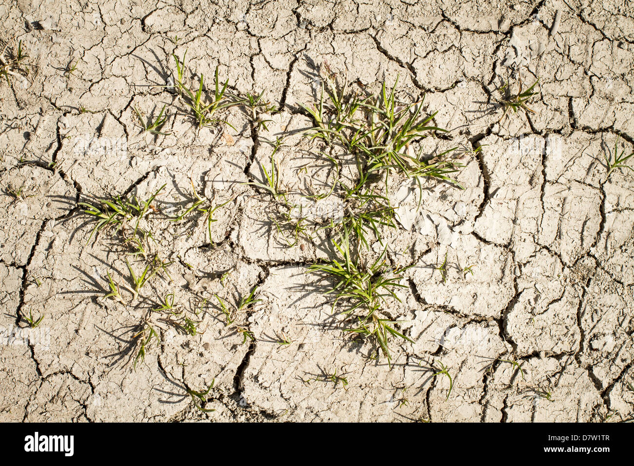 Dry riverbed, France Stock Photo - Alamy