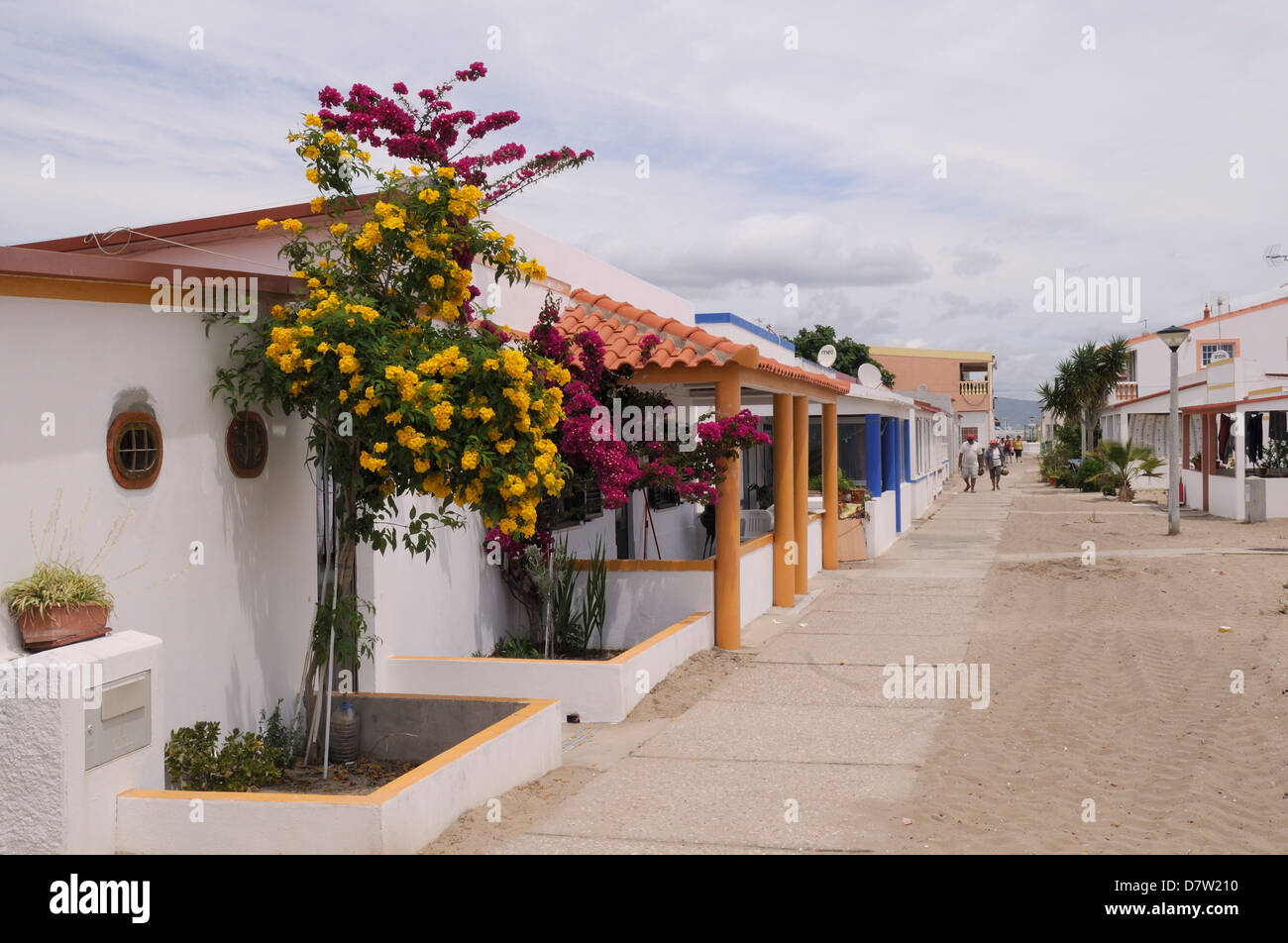 Main street of fishermen's village on Culatra island, Parque Natural da ...