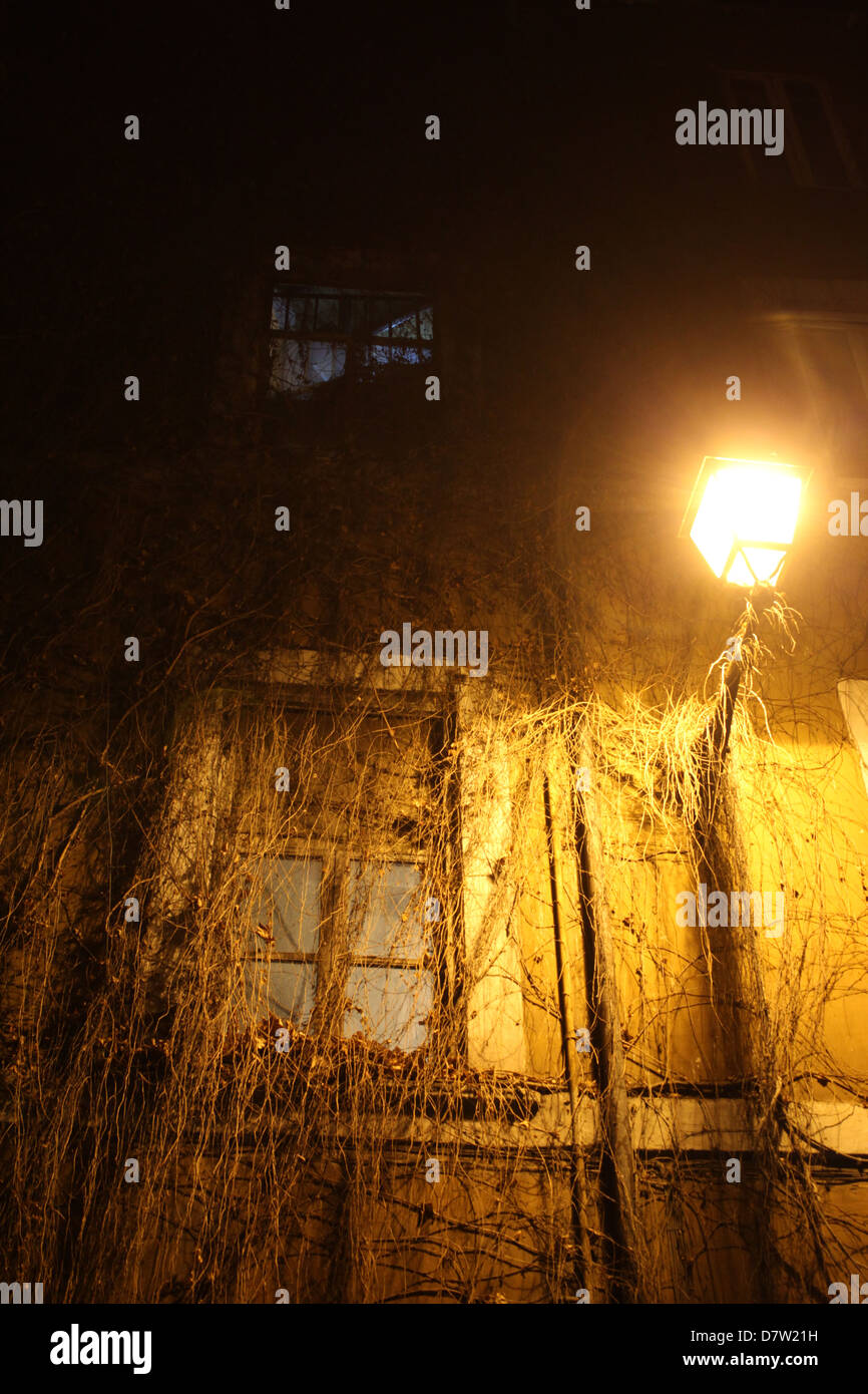 ivy growing on window on building at night in trastevere rome italy ...