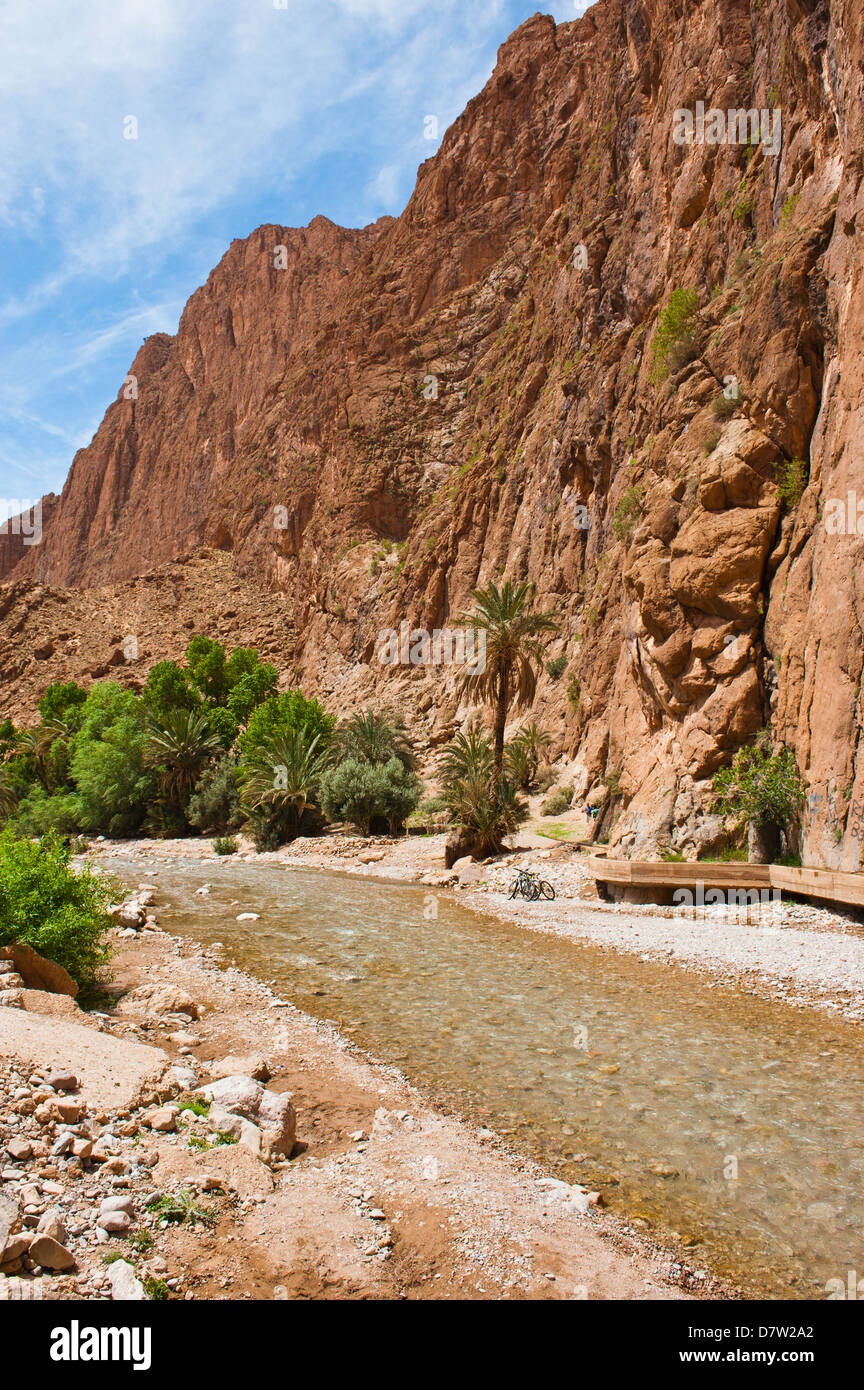 Todgha River running through the Todra Gorge, Morocco, North Africa ...