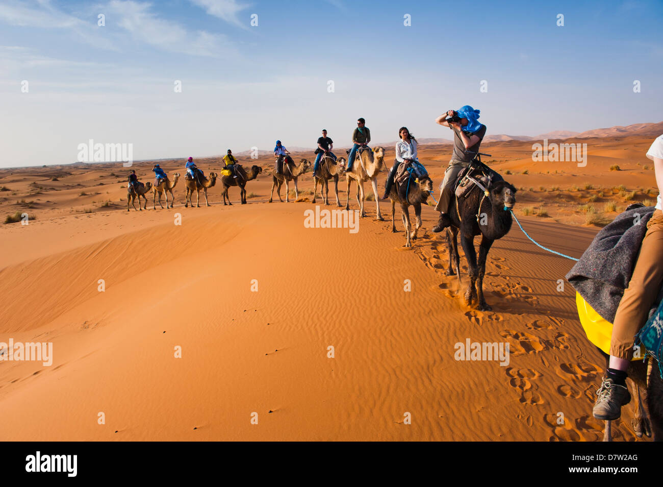 Tourists on a camel ride in Erg Chebbi Desert, Sahara Desert near ...