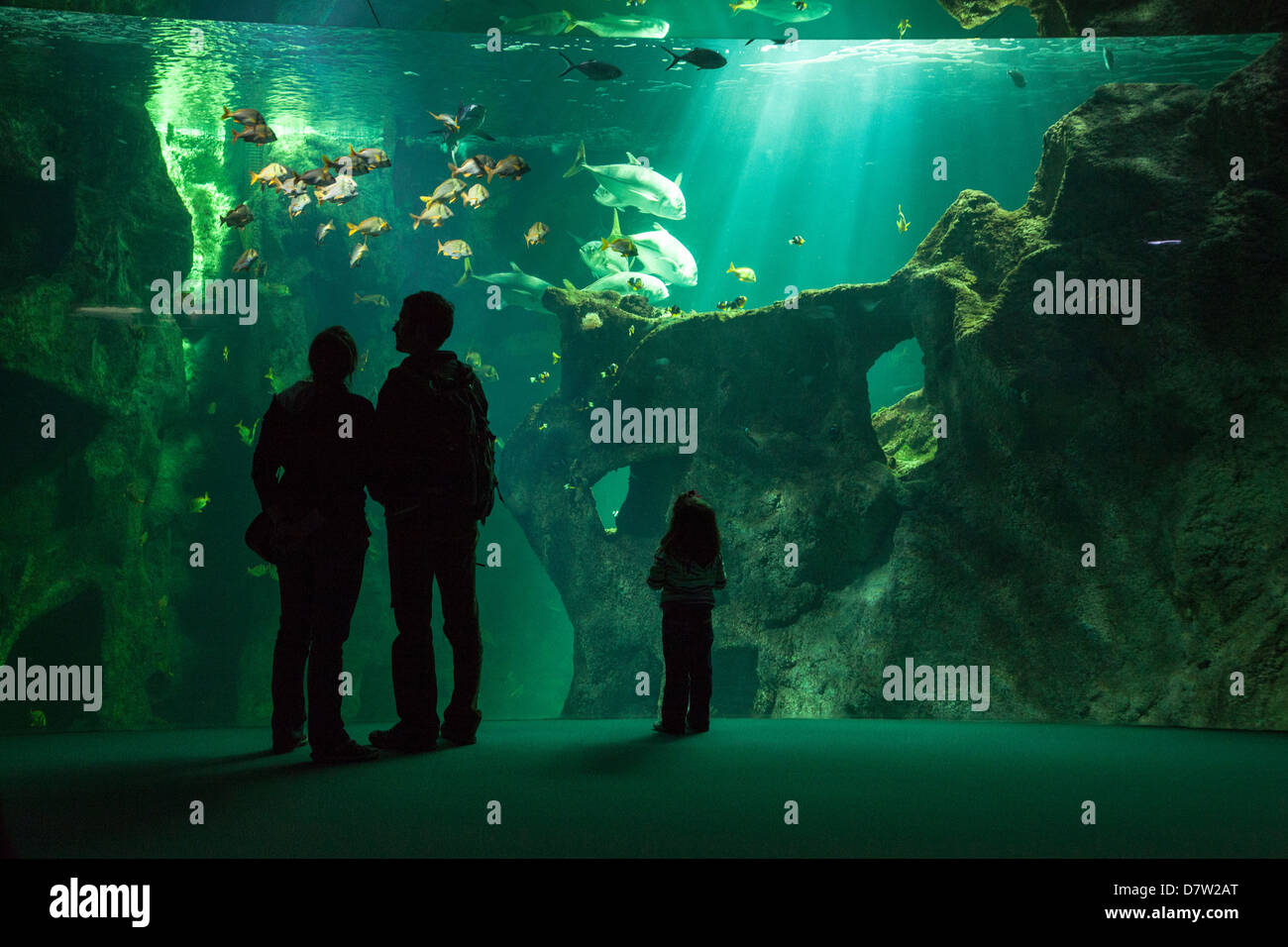 La rochelle aquarium hi-res stock photography and images - Alamy