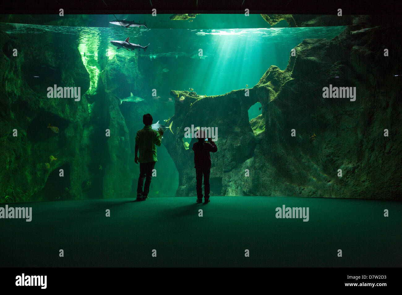 La rochelle aquarium hi-res stock photography and images - Alamy