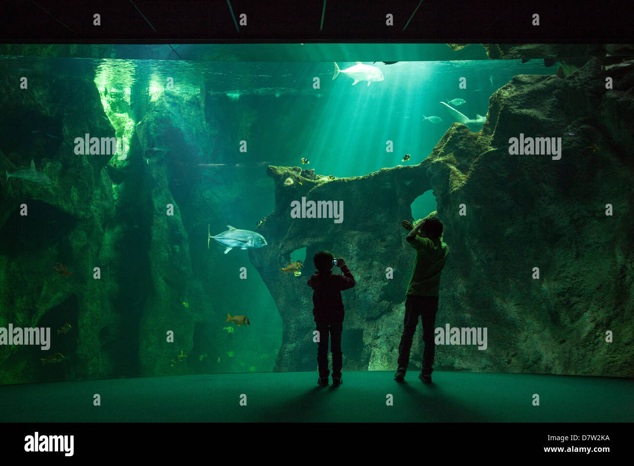 Children look at fish in the shark tank at the aquarium in La Rochelle ...