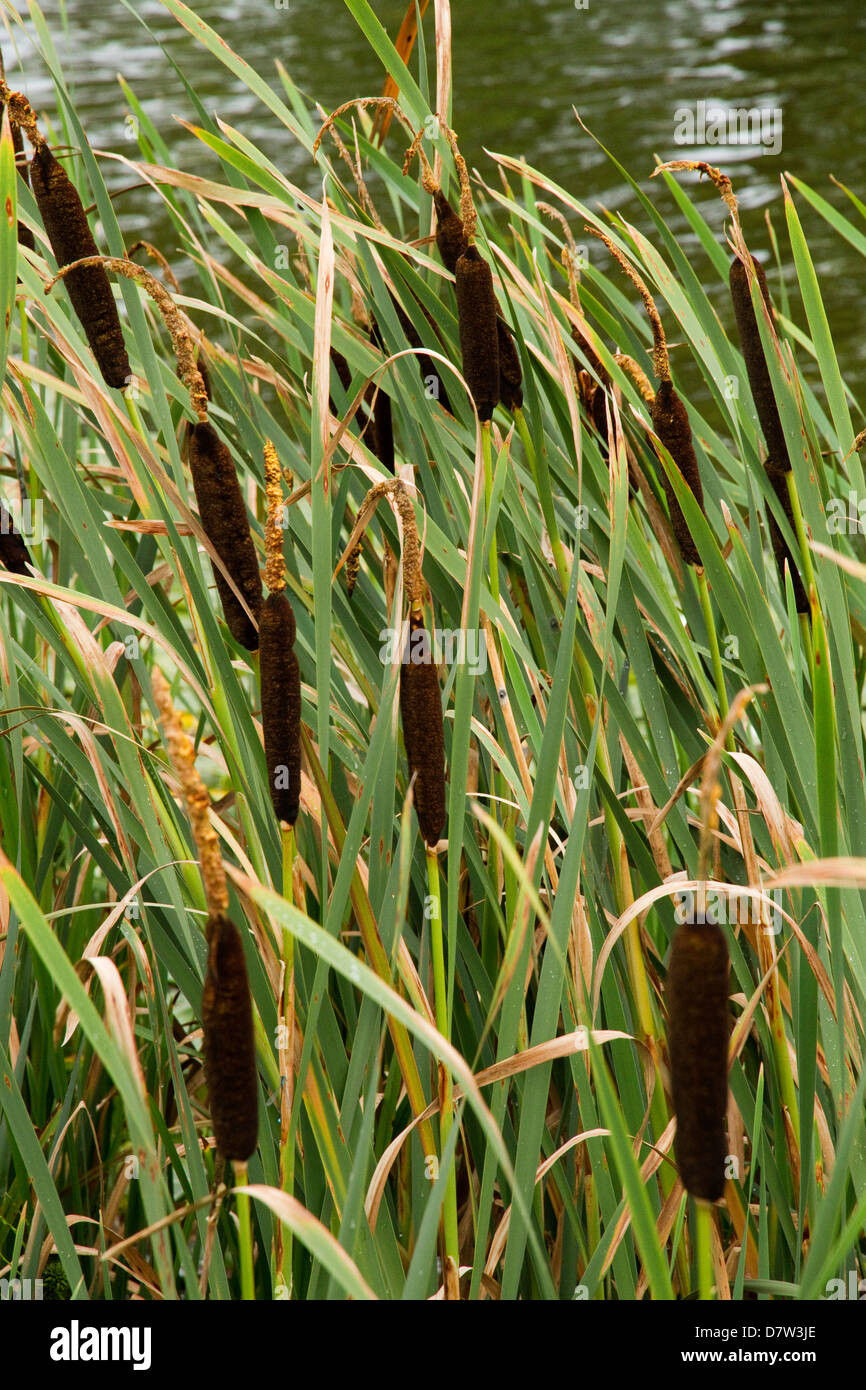 Verney lake hi-res stock photography and images - Alamy