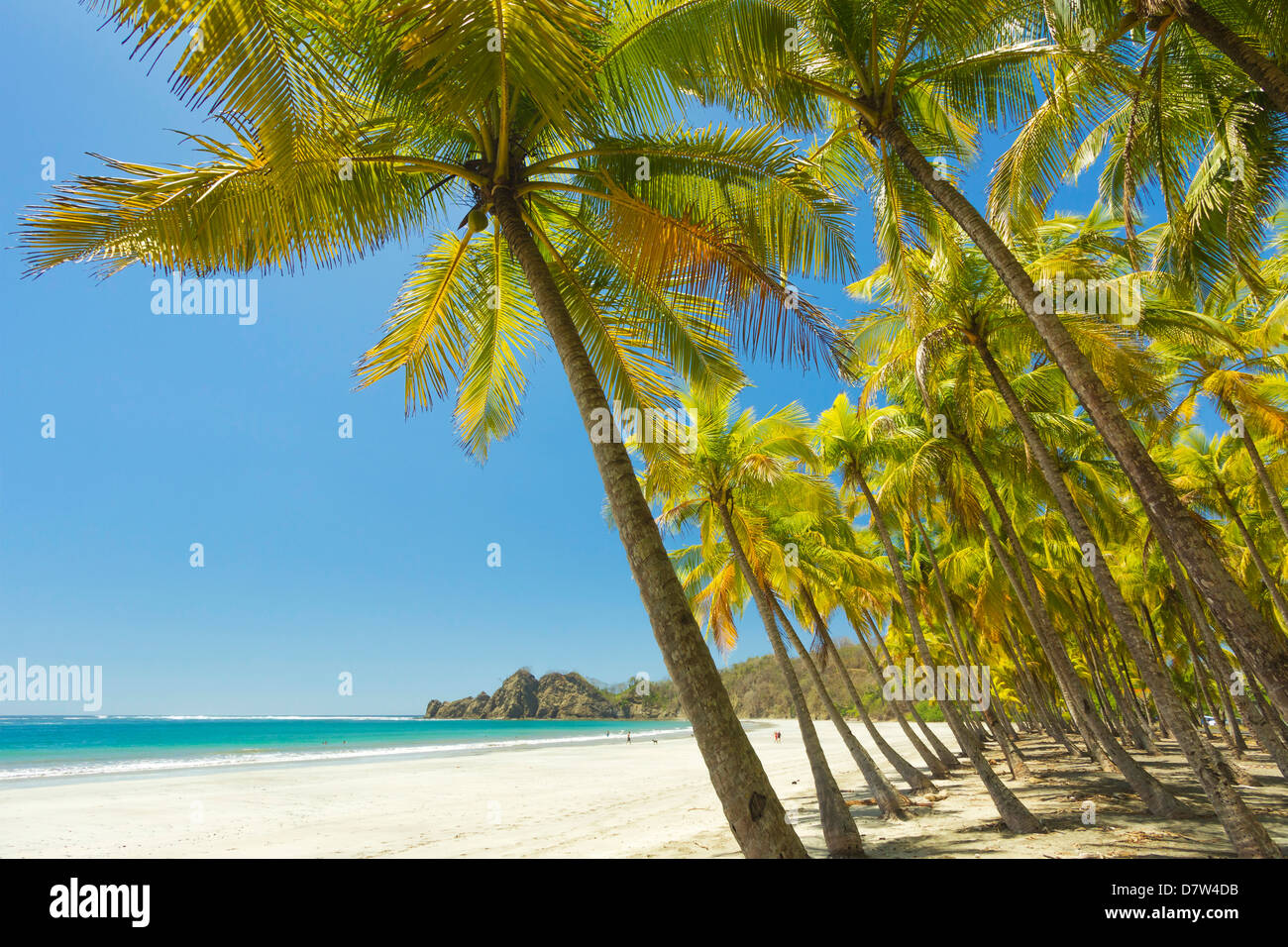 Beautiful palm fringed white sand Playa Carrillo, Carrillo, near Samara ...