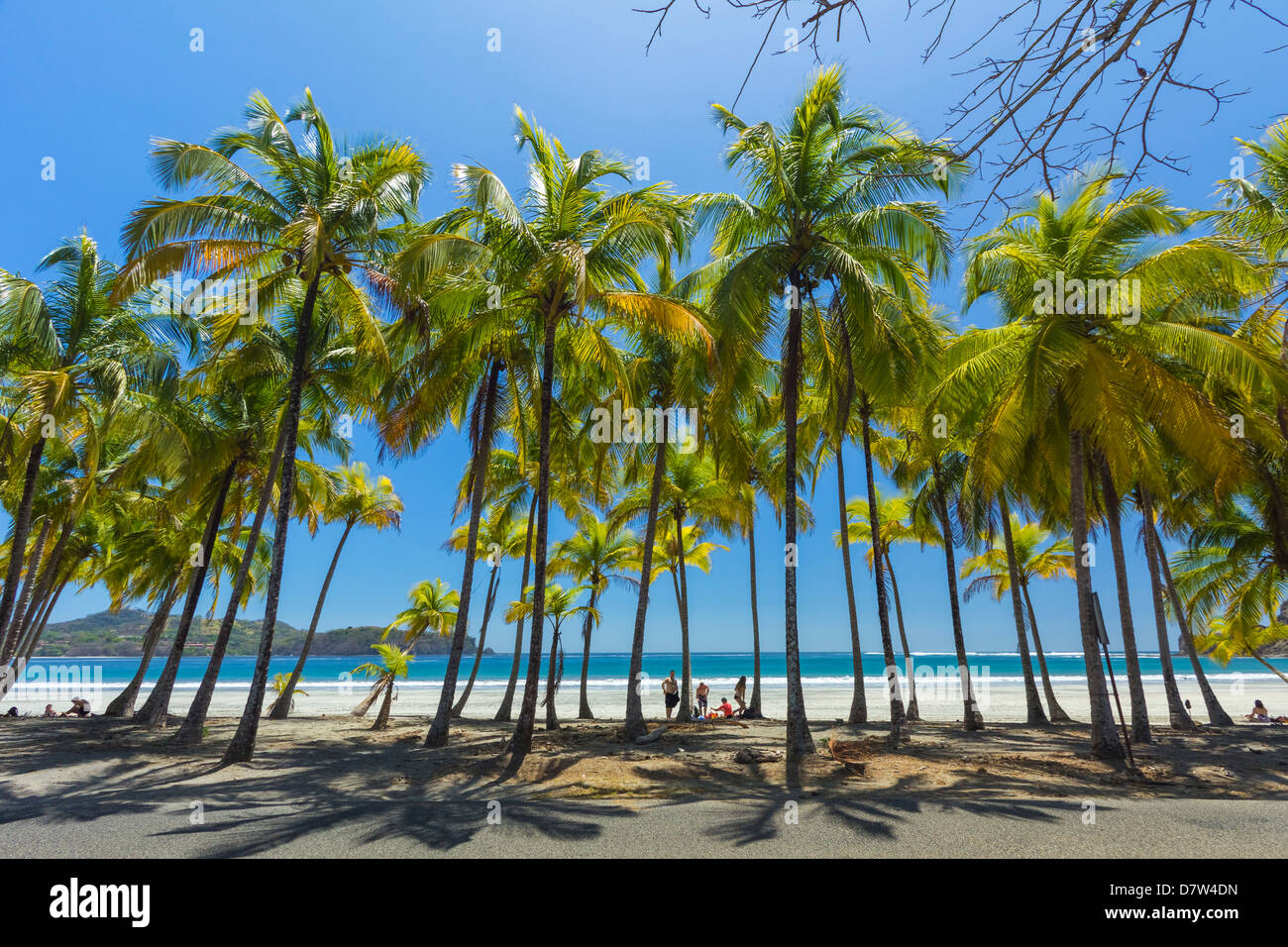 Beautiful palm fringed white sand Playa Carrillo, Carrillo, near Samara ...