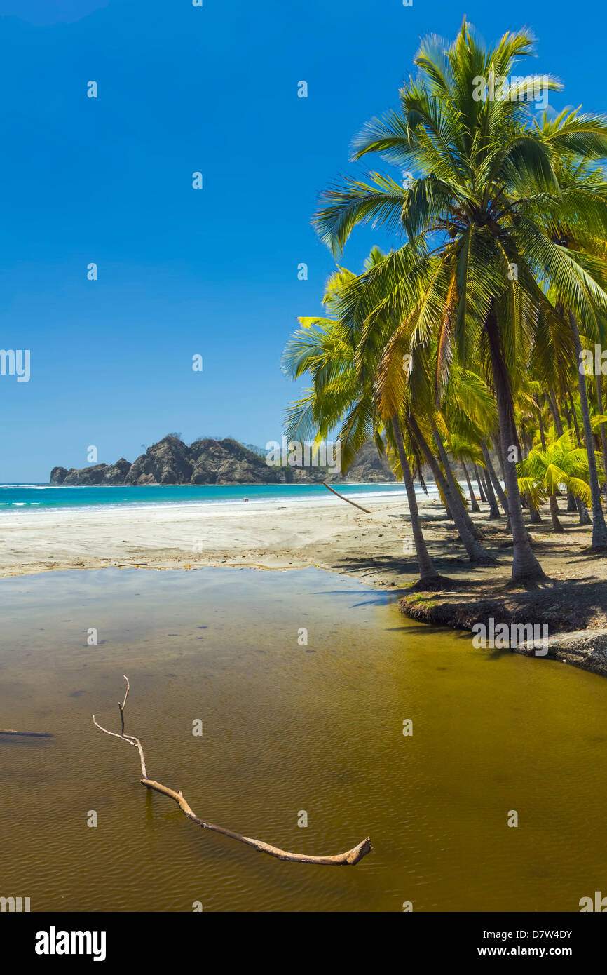 Dry season river mouth at palm fringed Playa Carrillo, Carrillo, near ...