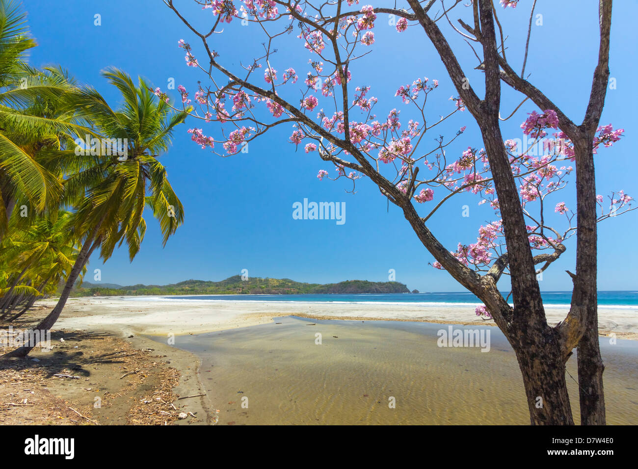 Playa carrillo costa rica hi-res stock photography and images - Alamy