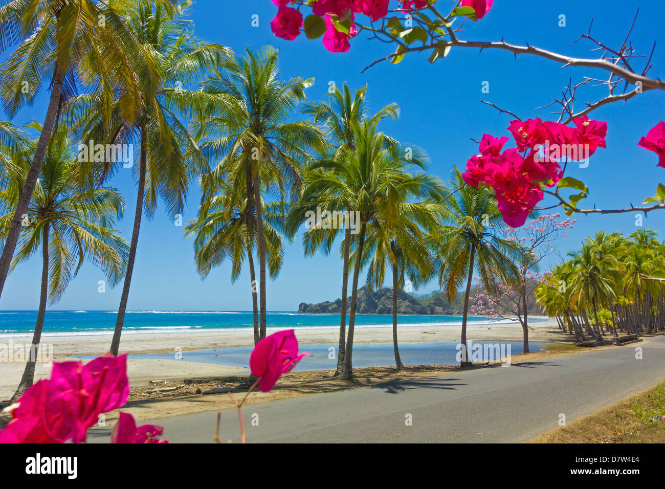 Beautiful palm fringed white sand Playa Carrillo, Carrillo, near Samara ...