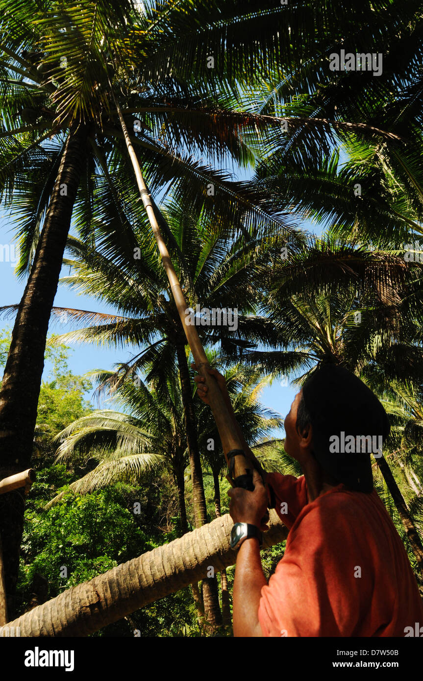 Mangyan hi-res stock photography and images - Alamy