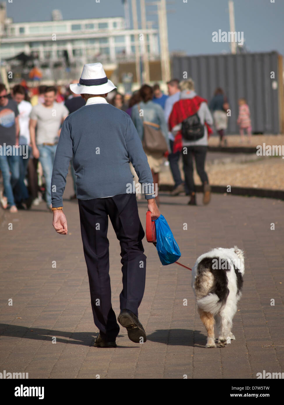A man takes his dog for a walk along the seafront at Brighton Stock ...