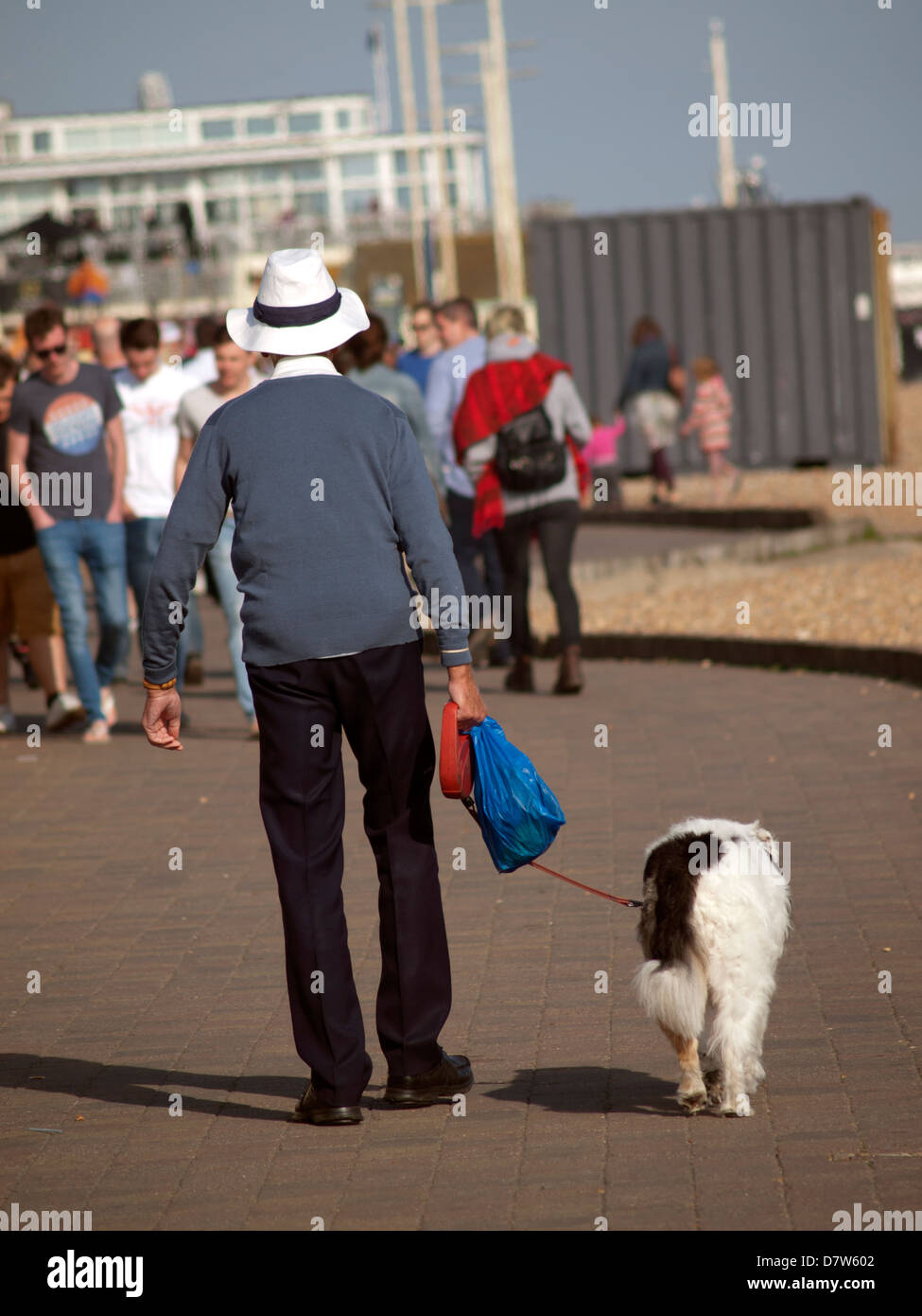 A man takes his dog for a walk along the seafront at Brighton Stock ...