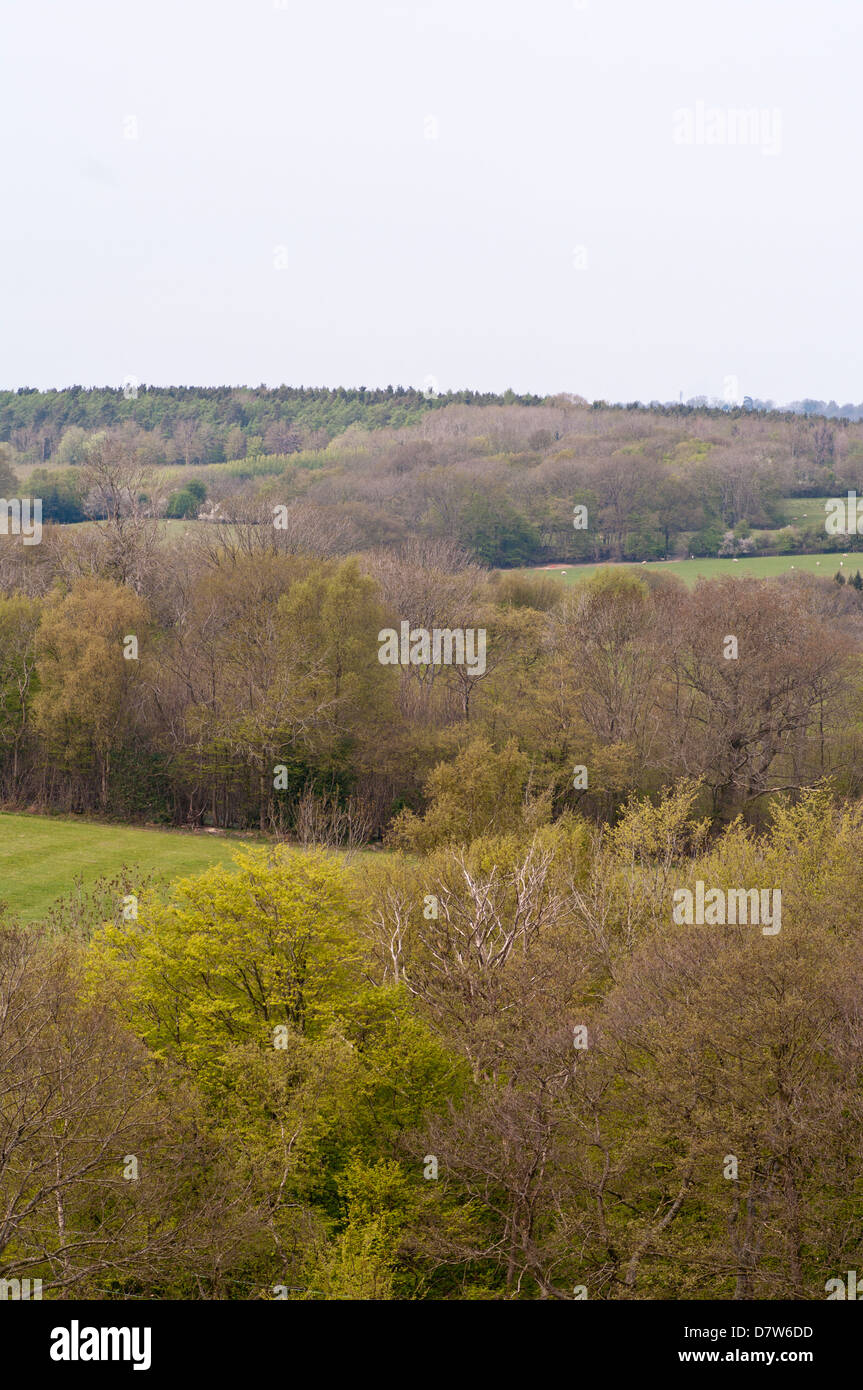 High weald east sussex countryside hi-res stock photography and images ...