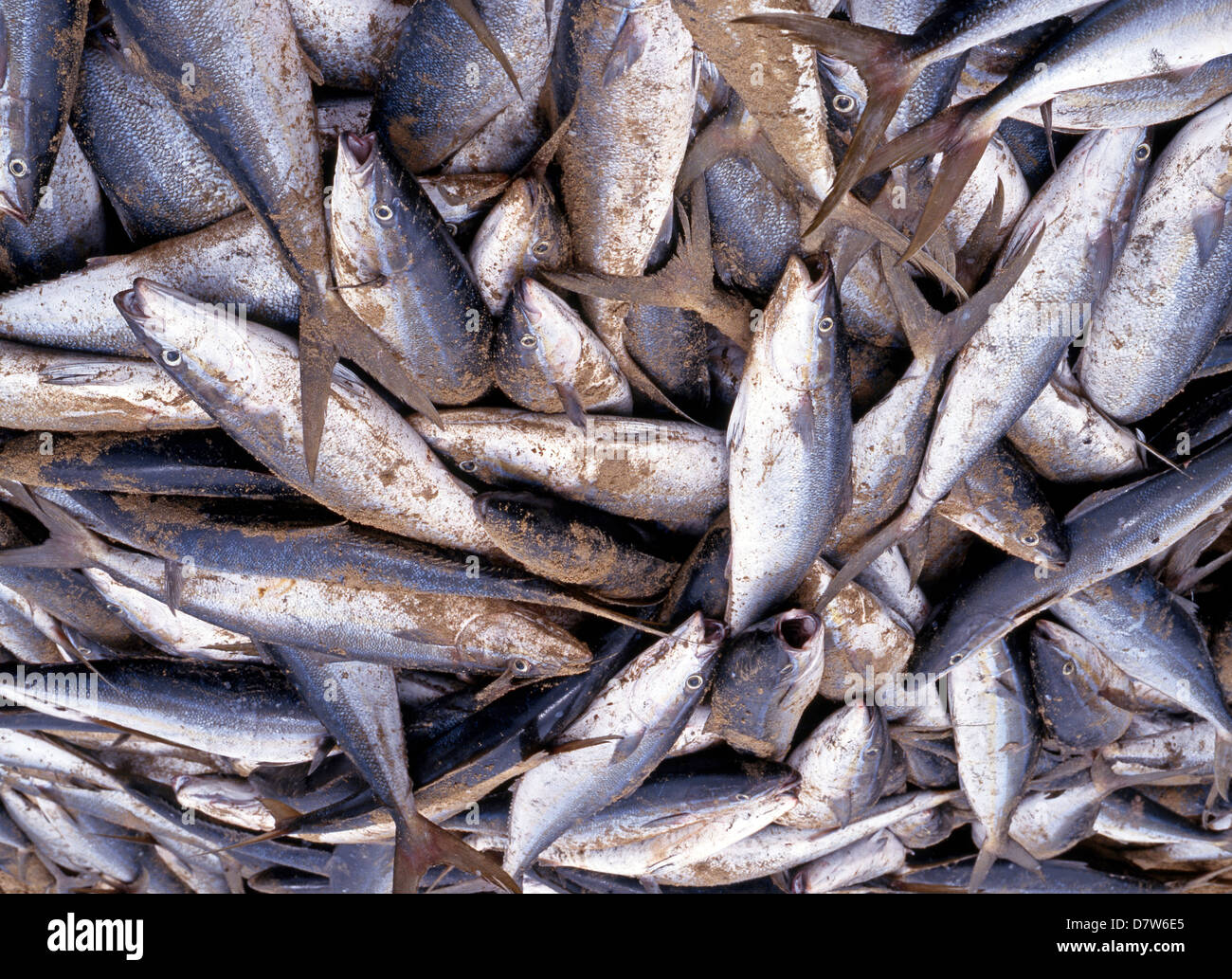 Tobago beach food hi-res stock photography and images - Alamy