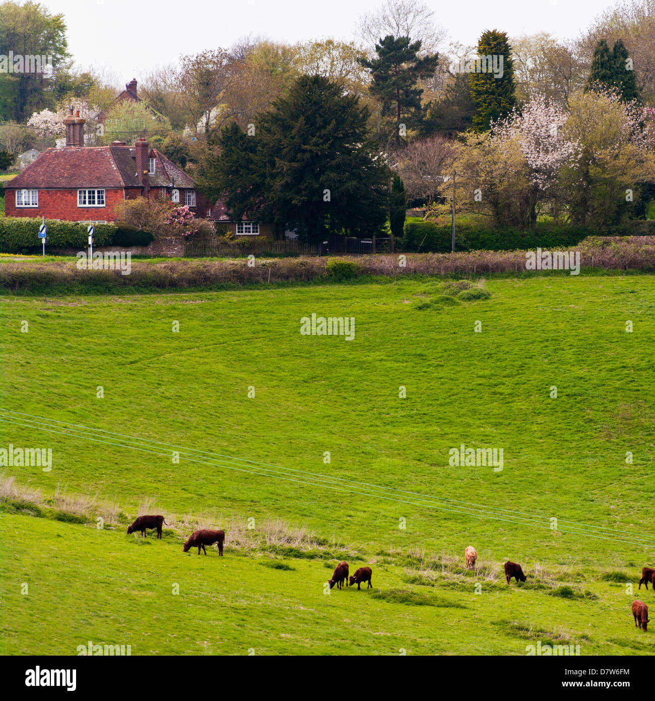 Countryside properties uk hi-res stock photography and images - Alamy