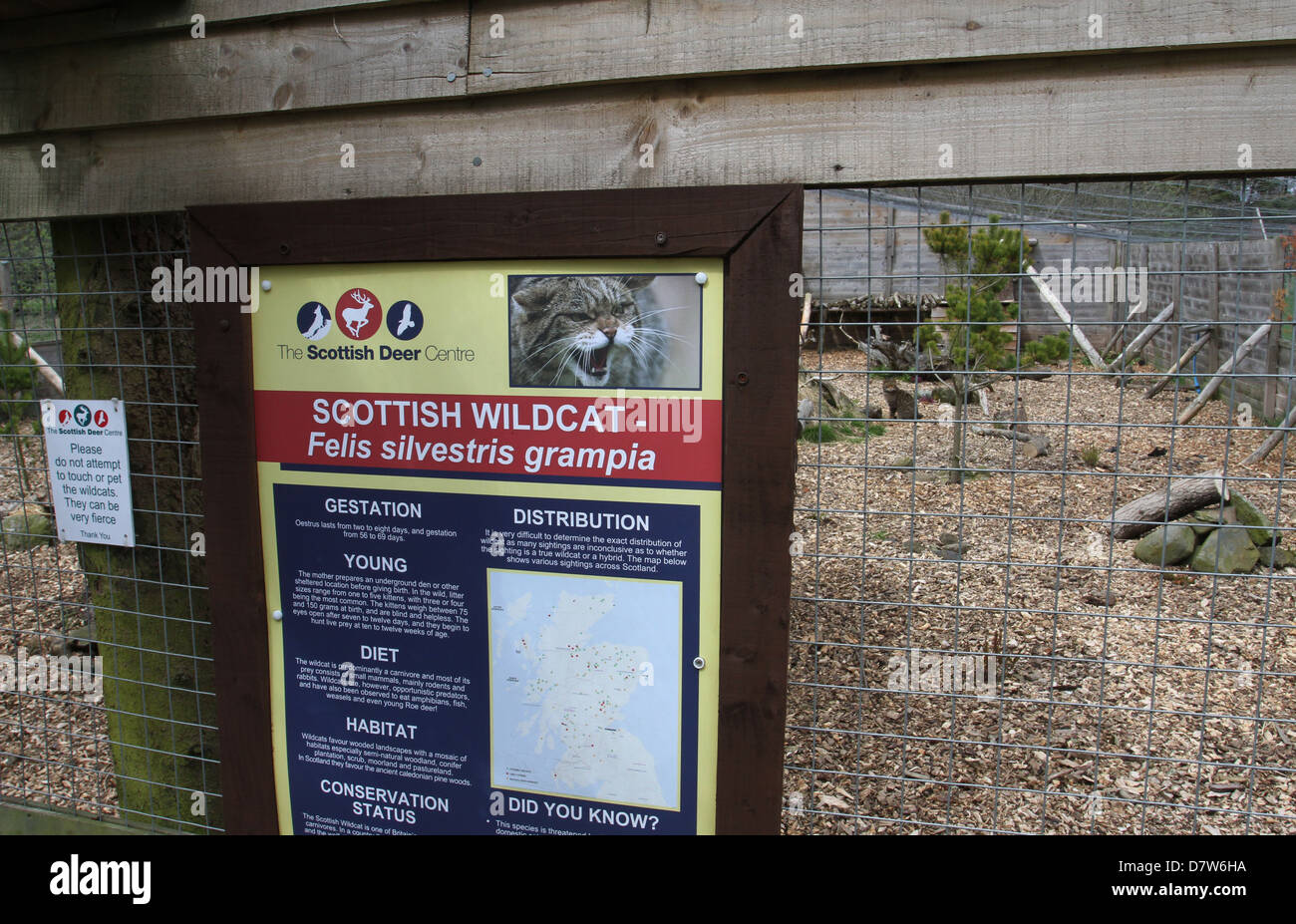 wildcat enclosure at Scottish Deer Centre Scotland May 2013 Stock Photo ...
