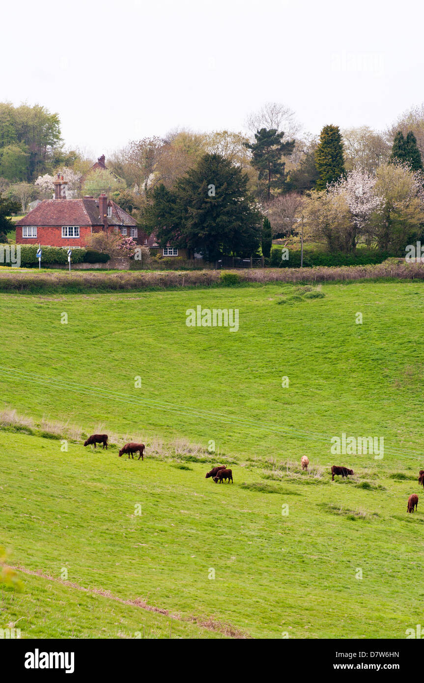 Countryside uk detached house hi-res stock photography and images - Alamy