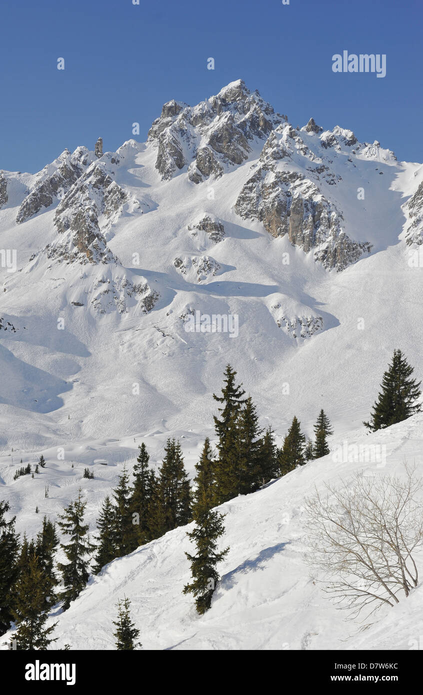 Trees mountain in french alps hi-res stock photography and images - Alamy