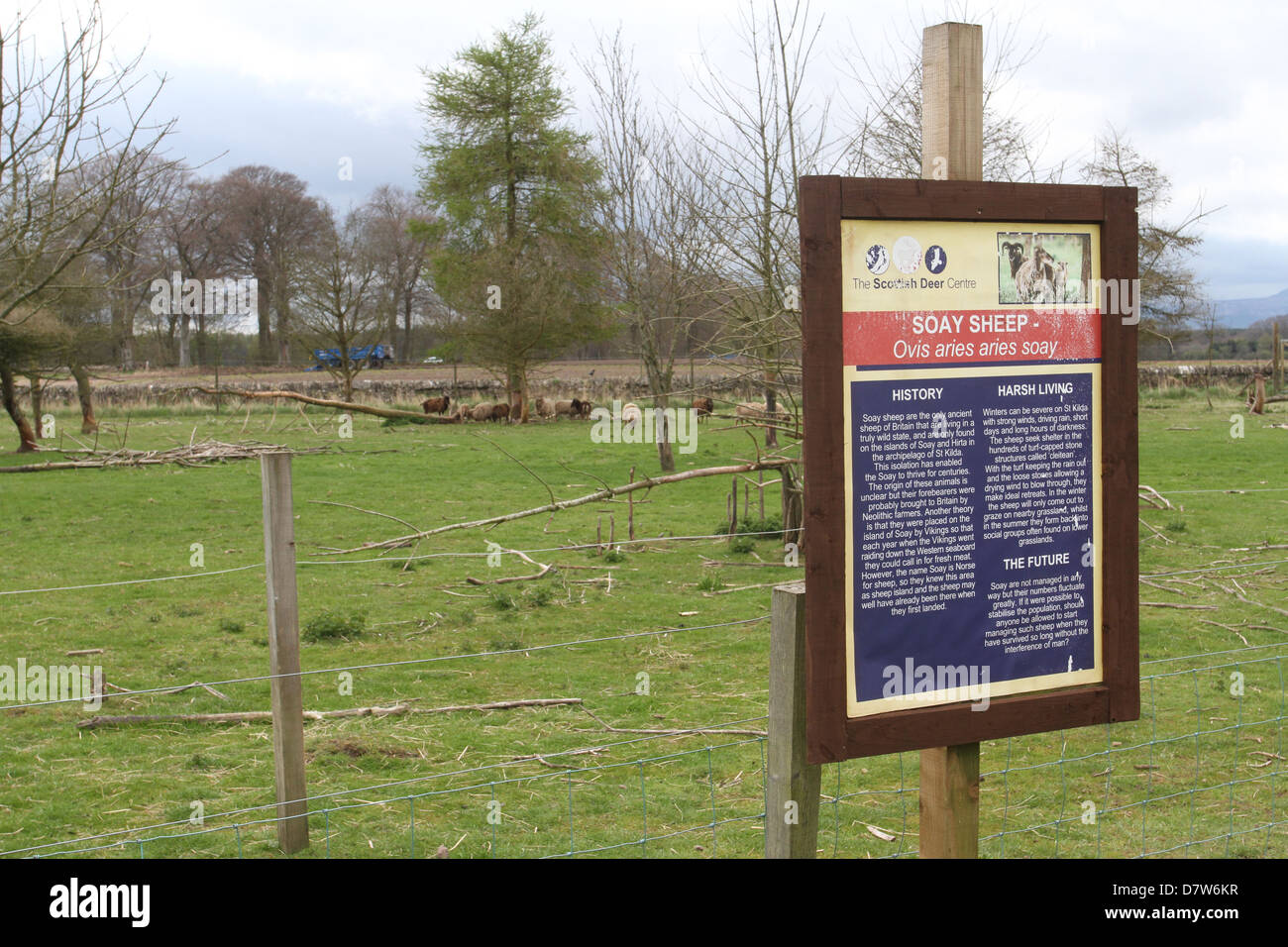 Sheep enclosure hi-res stock photography and images - Alamy