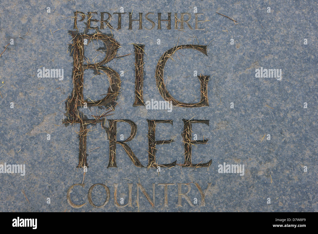 Perthshire Big Tree Country engraving on a slab at the Queen's View ...