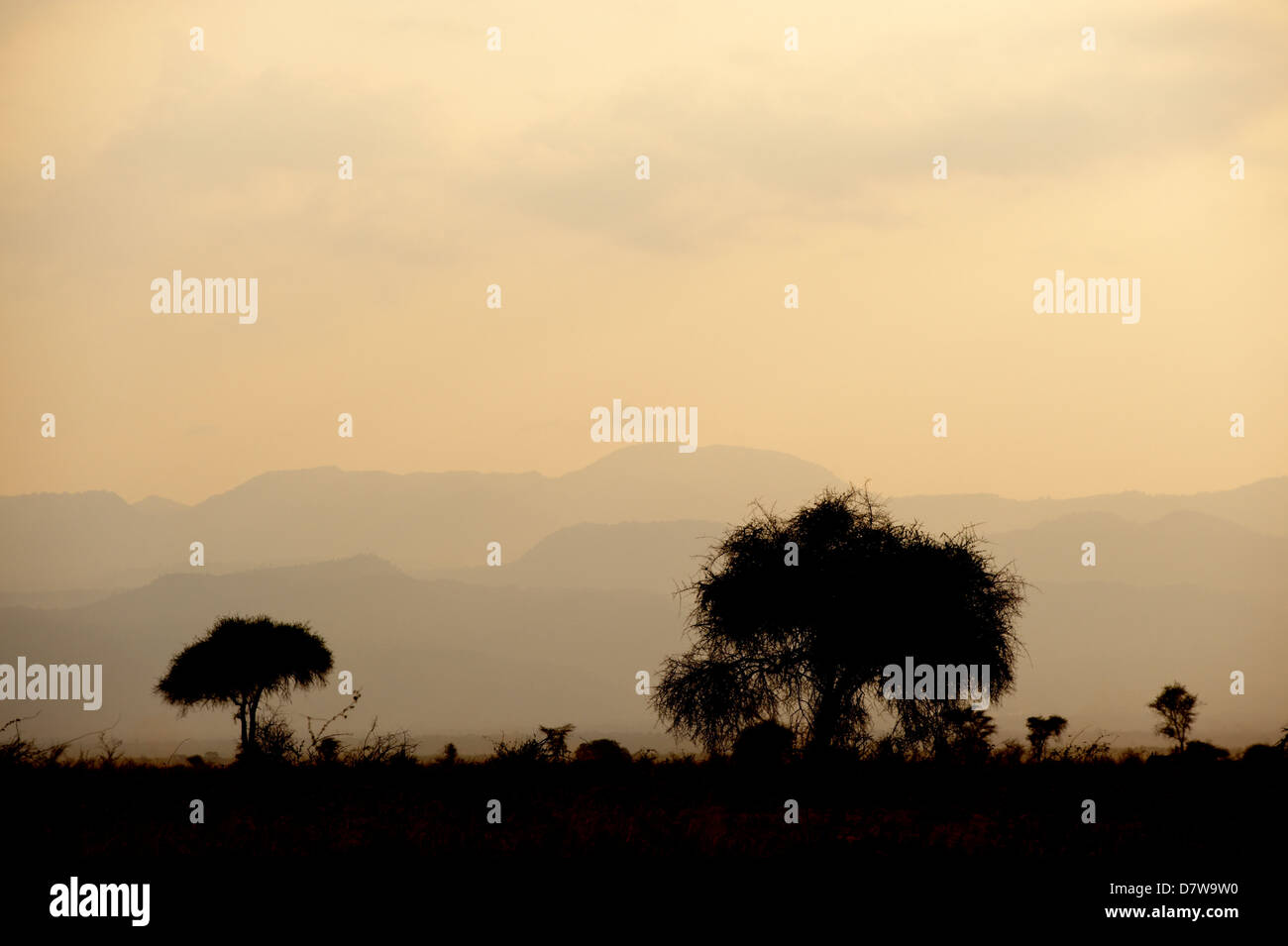Tree silhouettes against hills at sunset, Meru National Park, Kenya ...