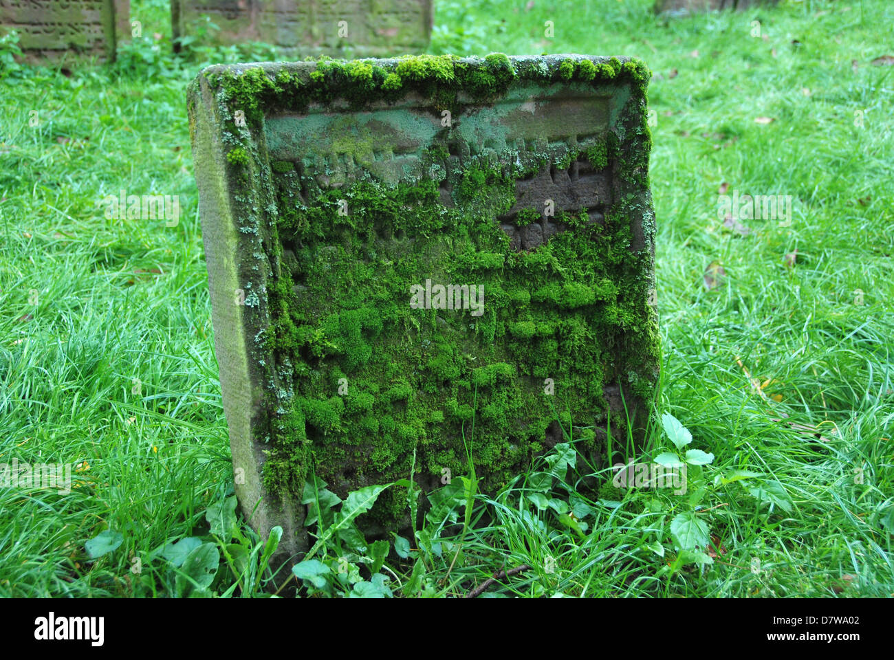 Mossy Jewish grave with Hebrew script Stock Photo - Alamy
