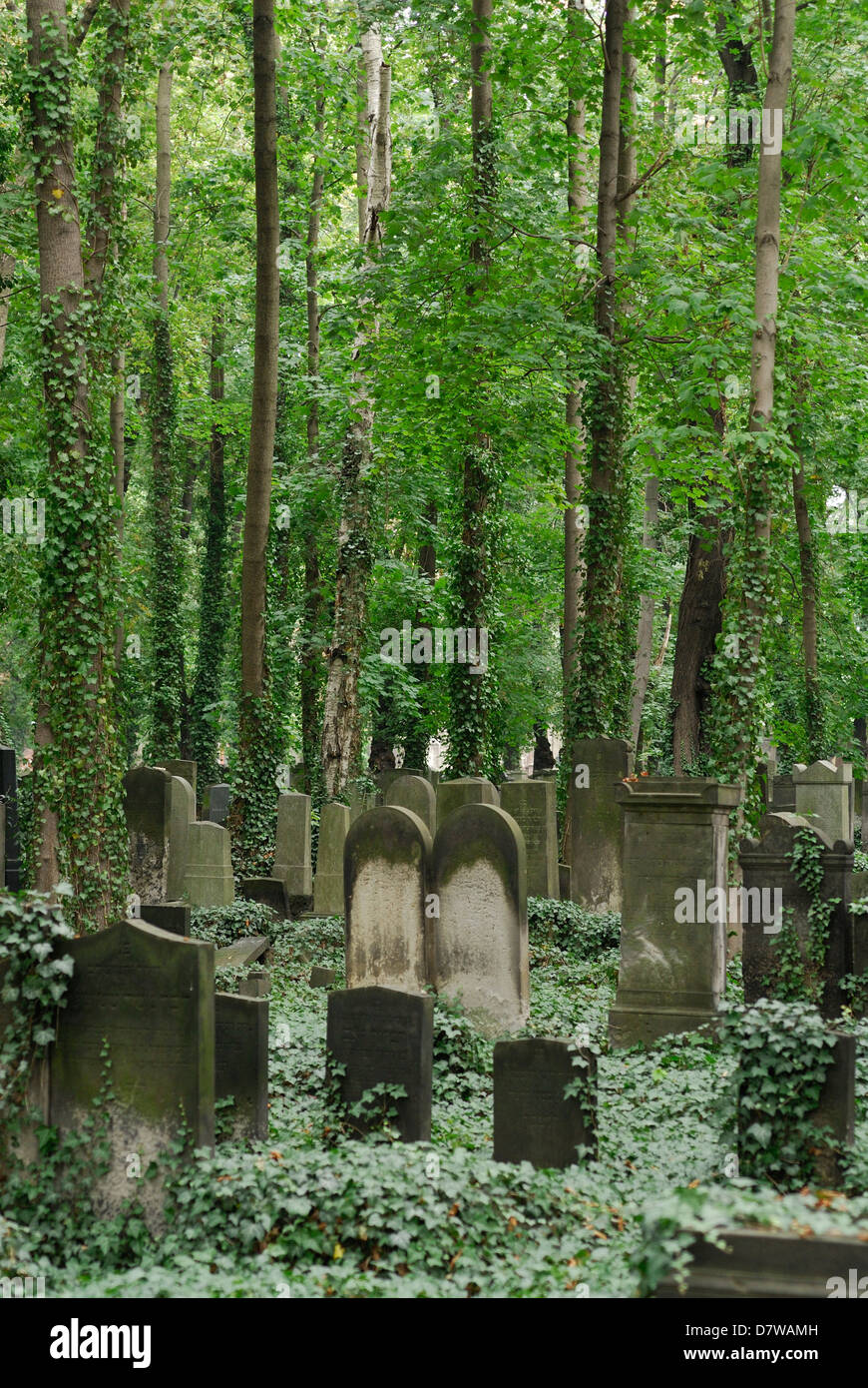Jewish cemetery Schonhauser Allee Berlin Germany Stock Photo - Alamy
