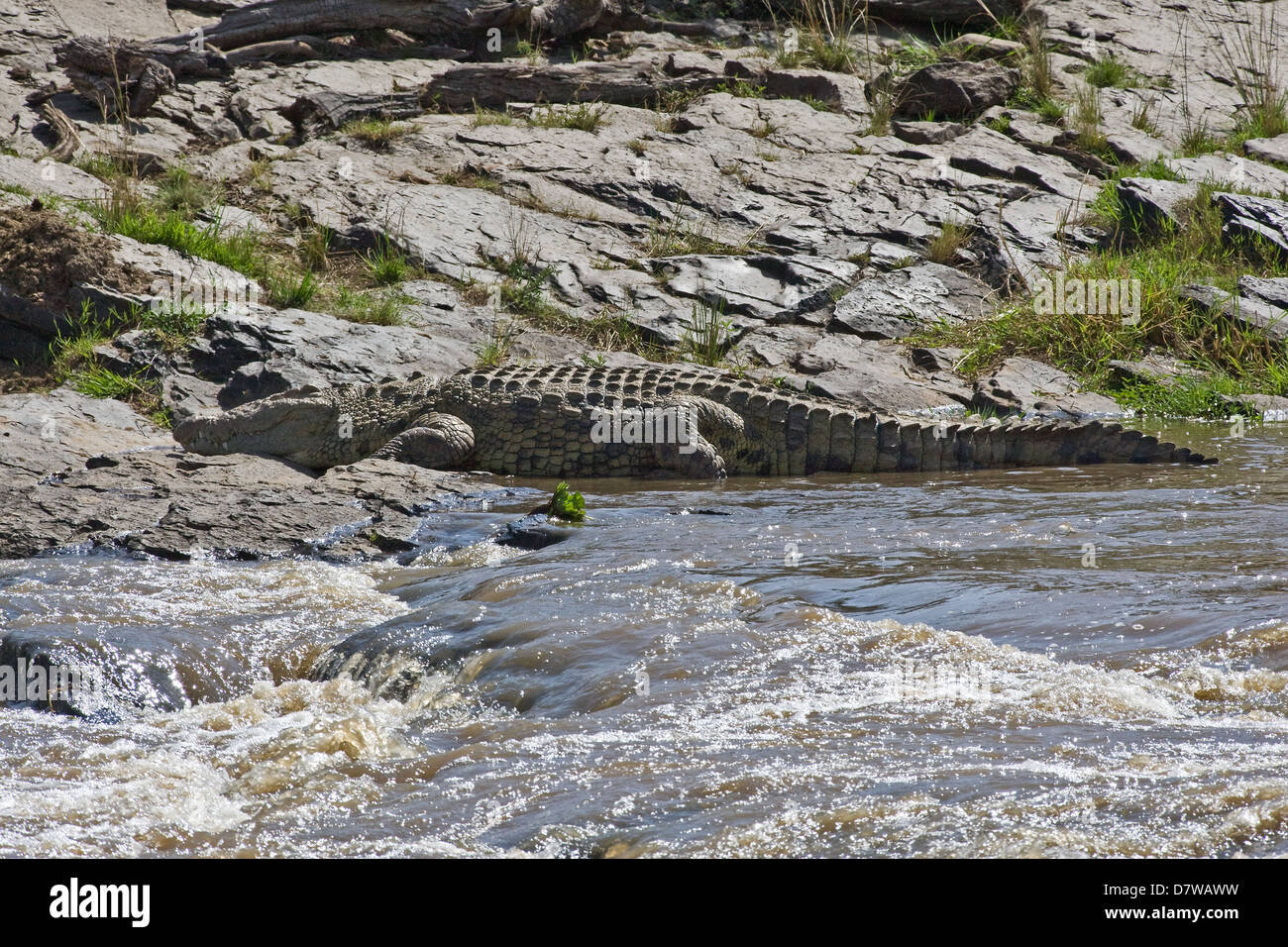 Nile riverfront hi-res stock photography and images - Alamy