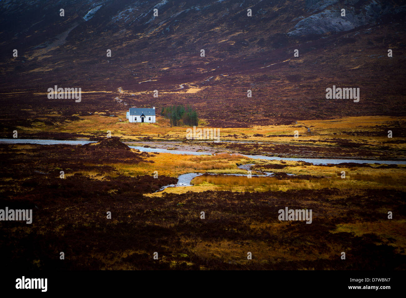 A cottage in the Scottish Highlands Stock Photo - Alamy
