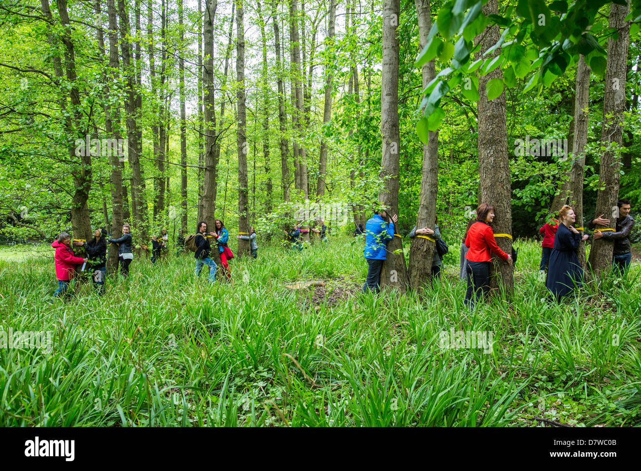 Hug a tree, world record. 848 people hugging a tree at same time. World ...
