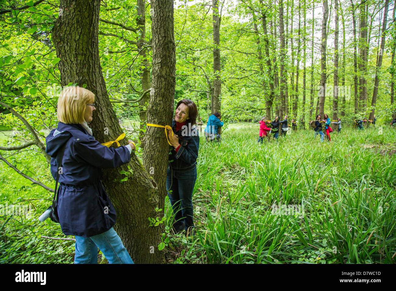 Hug a tree, world record. 848 people hugging a tree at same time. World ...