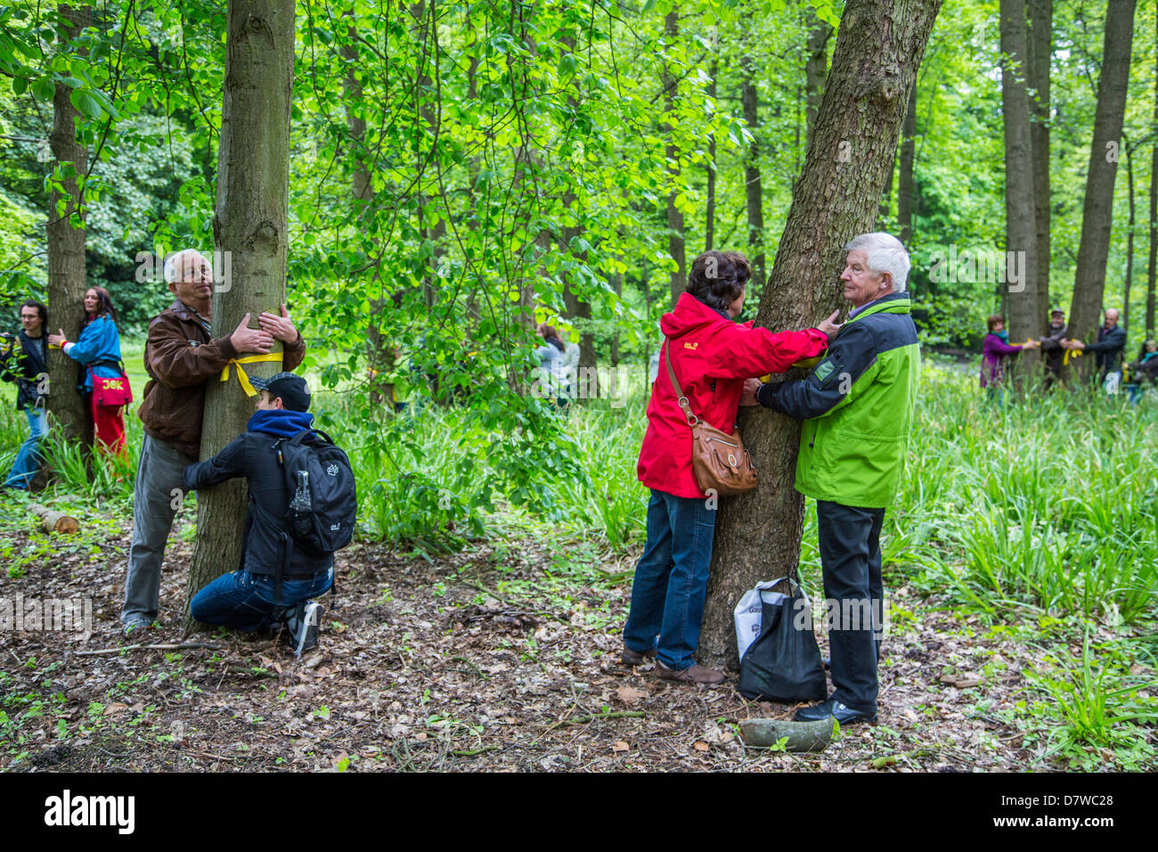 Hug a tree, world record. 848 people hugging a tree at same time. World ...