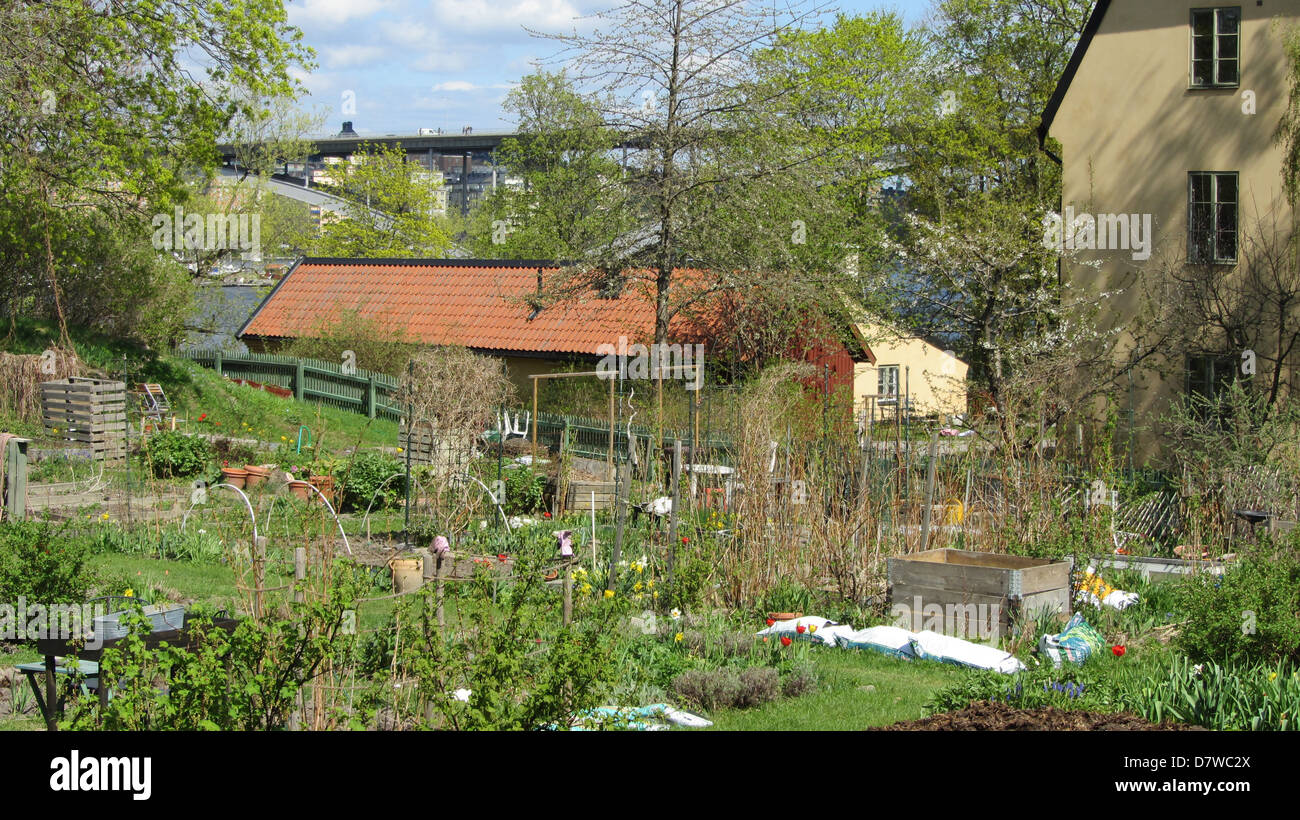 spring in Stockholm city centre sweden Stock Photo - Alamy