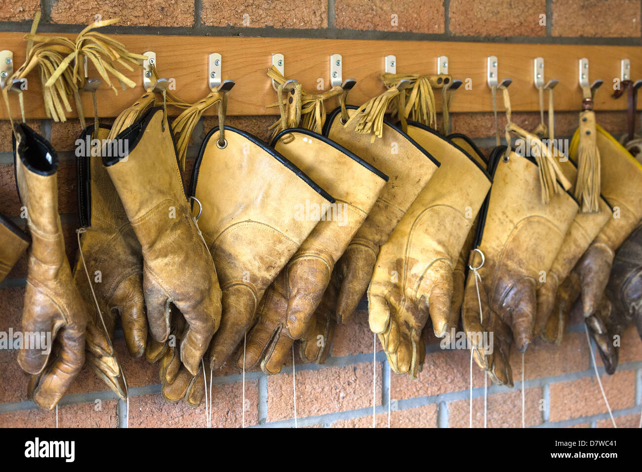 High Quality and Maximum Protection gloves for handling birds of prey ...