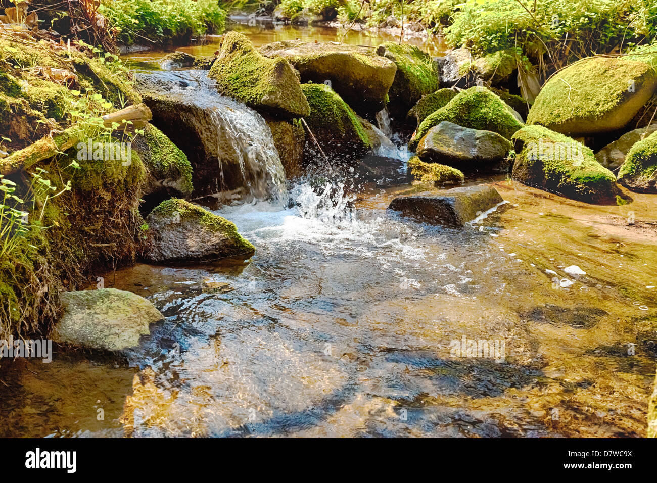 The river runs over boulders in the primeval forest - HDR Stock Photo ...