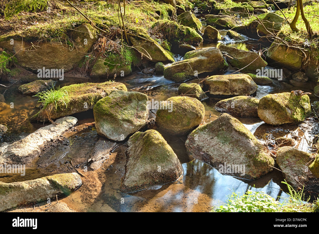 The river runs between boulders in the primeval forest - HDR Stock ...