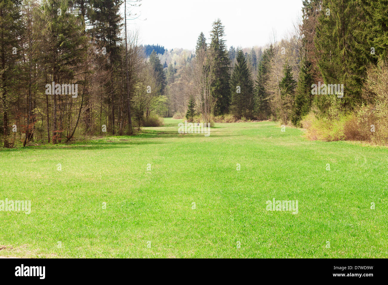 Clearing land for farming hi-res stock photography and images - Alamy
