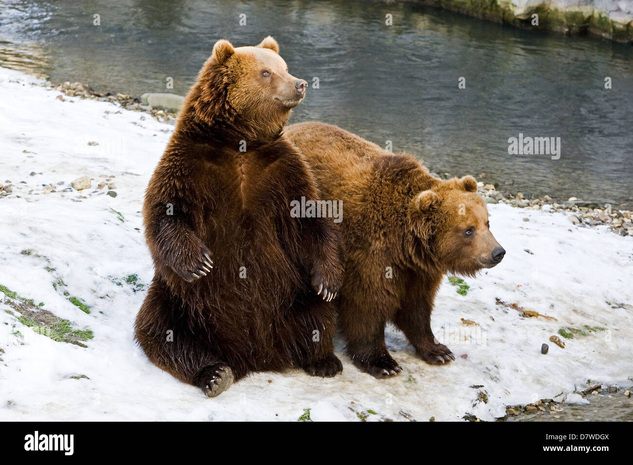 Kamtchatka hi-res stock photography and images - Alamy