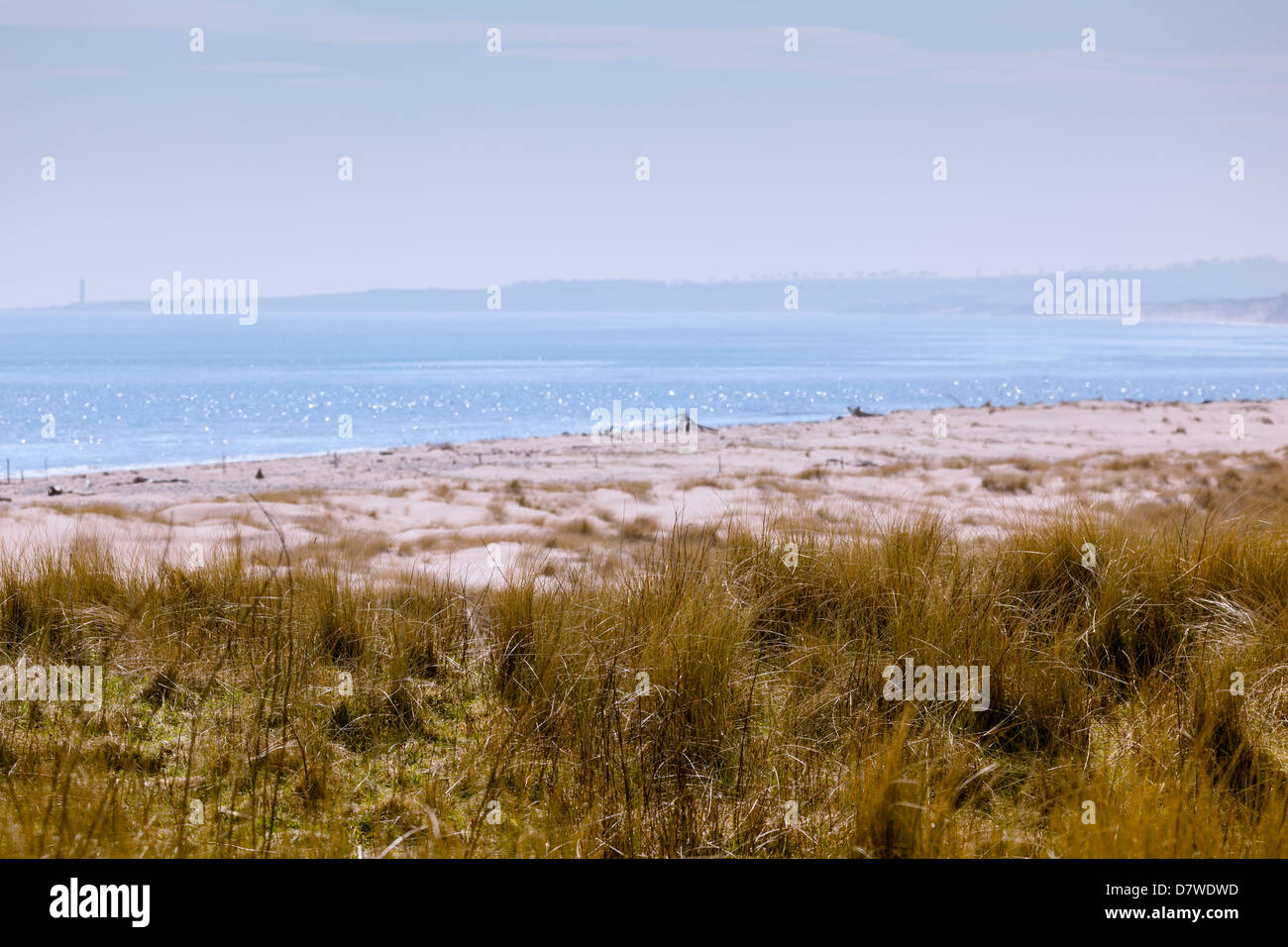 St Cyrus nature reserve beach. East Coast N.Scotland UK Stock Photo - Alamy