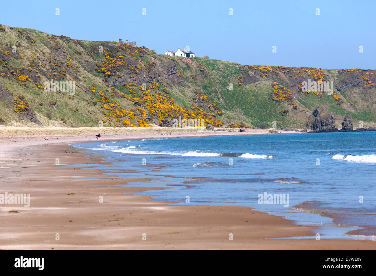 St Cyrus nature reserve beach. East Coast N.Scotland UK Stock Photo - Alamy